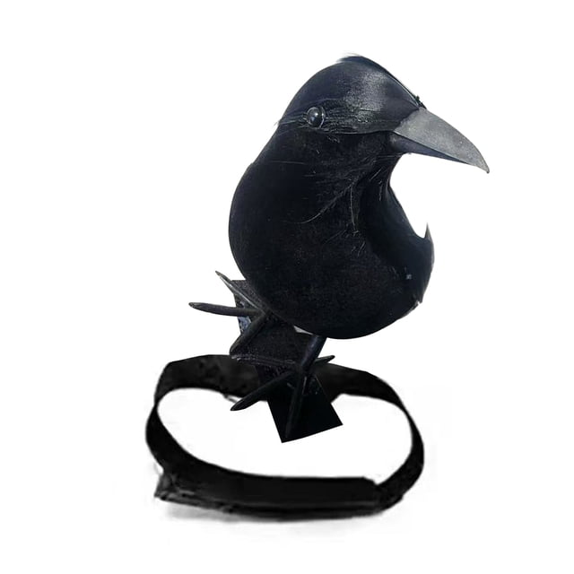 Sylvtty Halloween Black Feathered Crow Lifesize Realistic Raven Prop ...