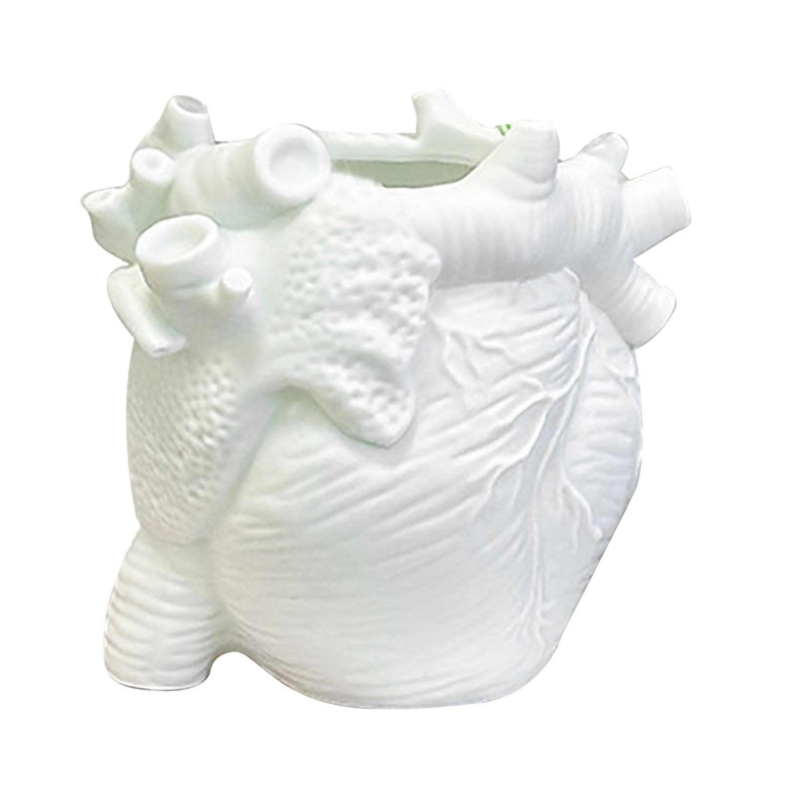 Sylvtty Small Human Heart Organ Shape Pen Holder 3D Realistic Heart ...