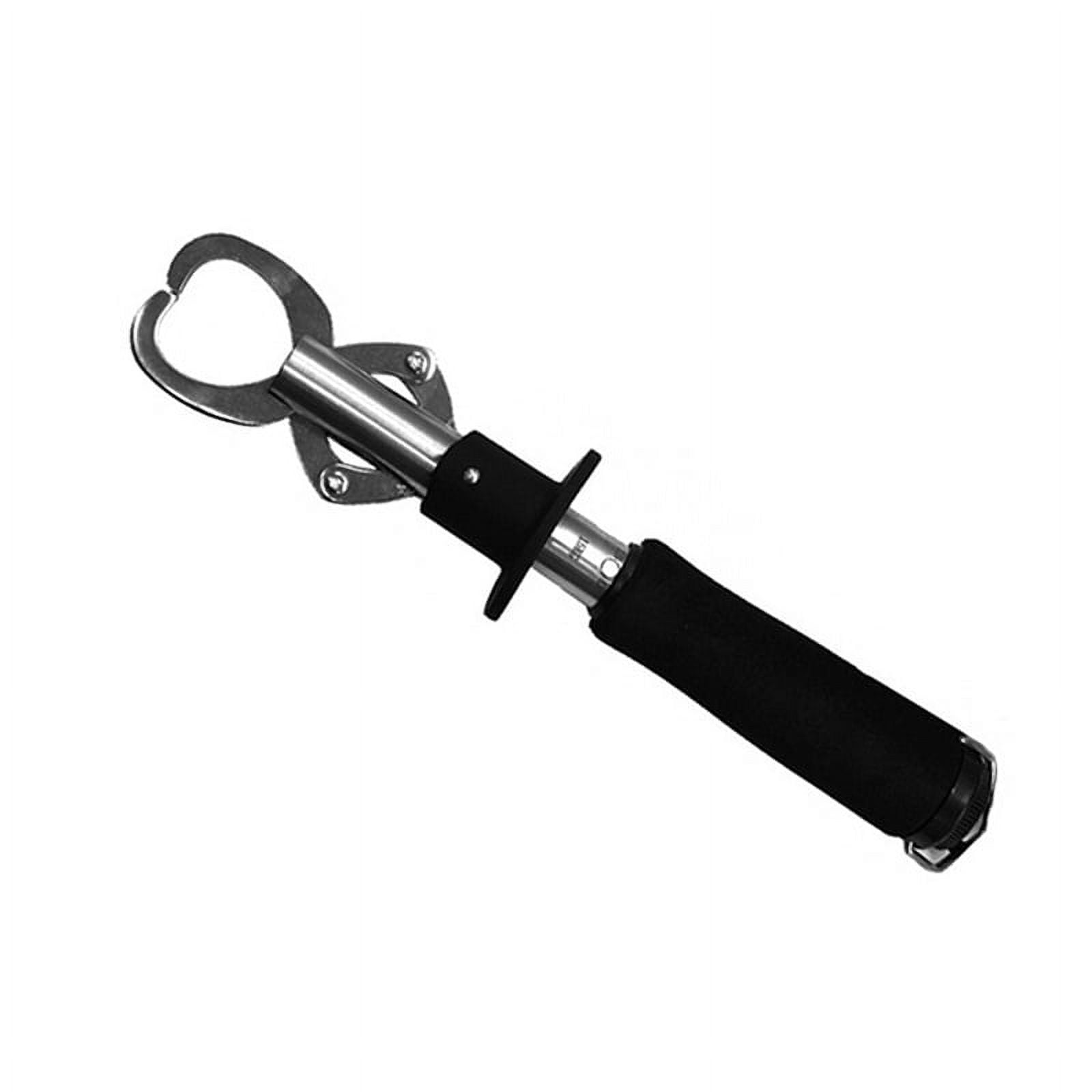 Stainless Steel Belt Weigher with Ruler Fish Controller, Fish Clamp ...