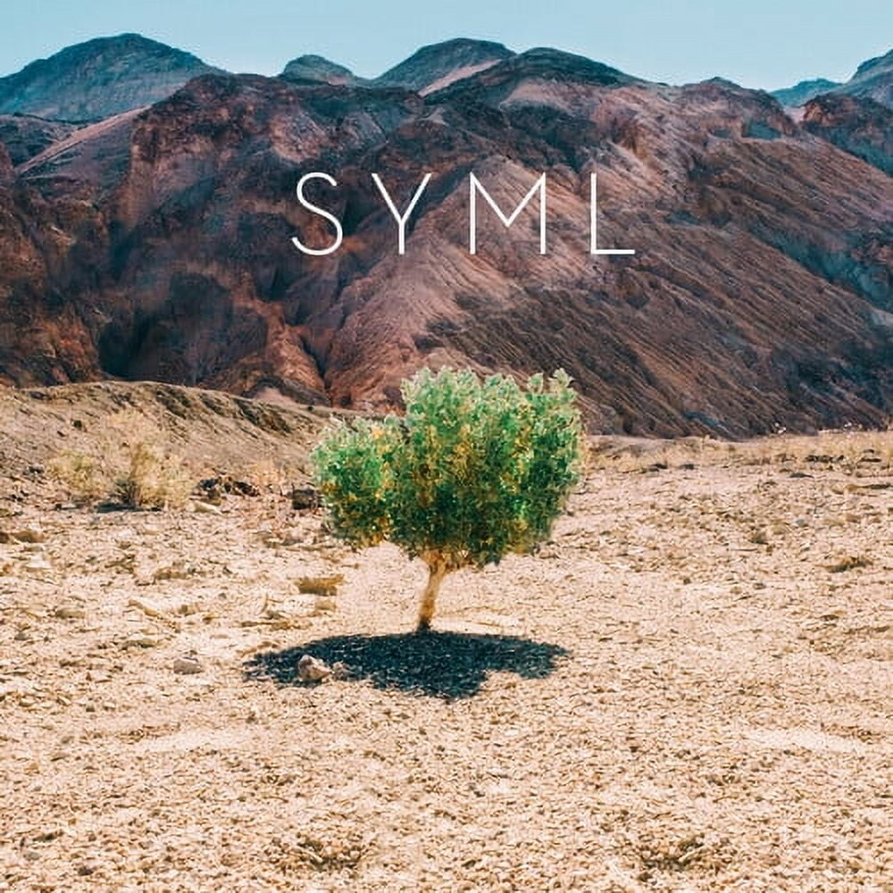 Syml - In My Body - Music & Performance - Vinyl - Walmart.com