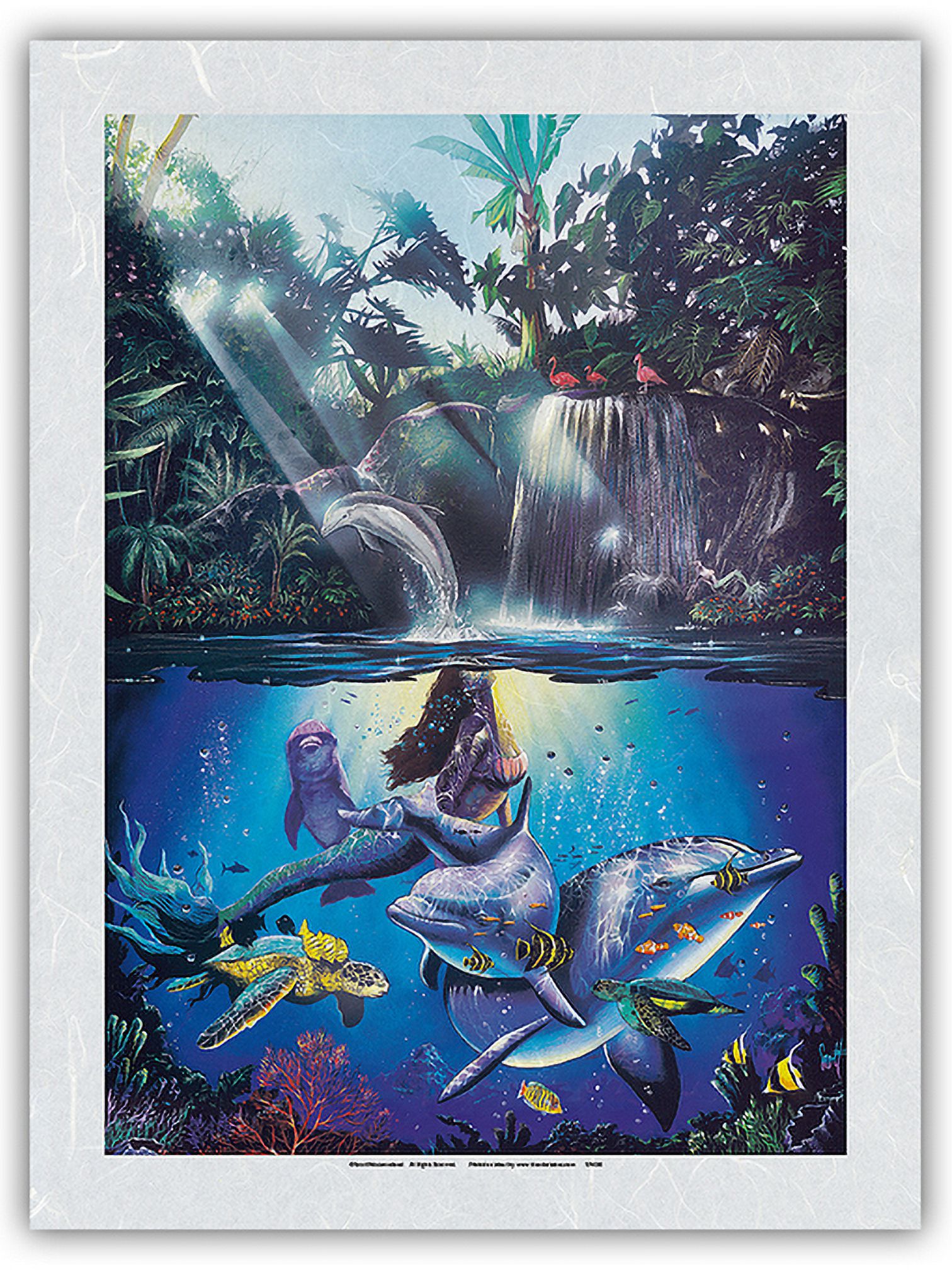 Symphony Beneath the Sea - Underwater Dolphin Paradise - From an ...