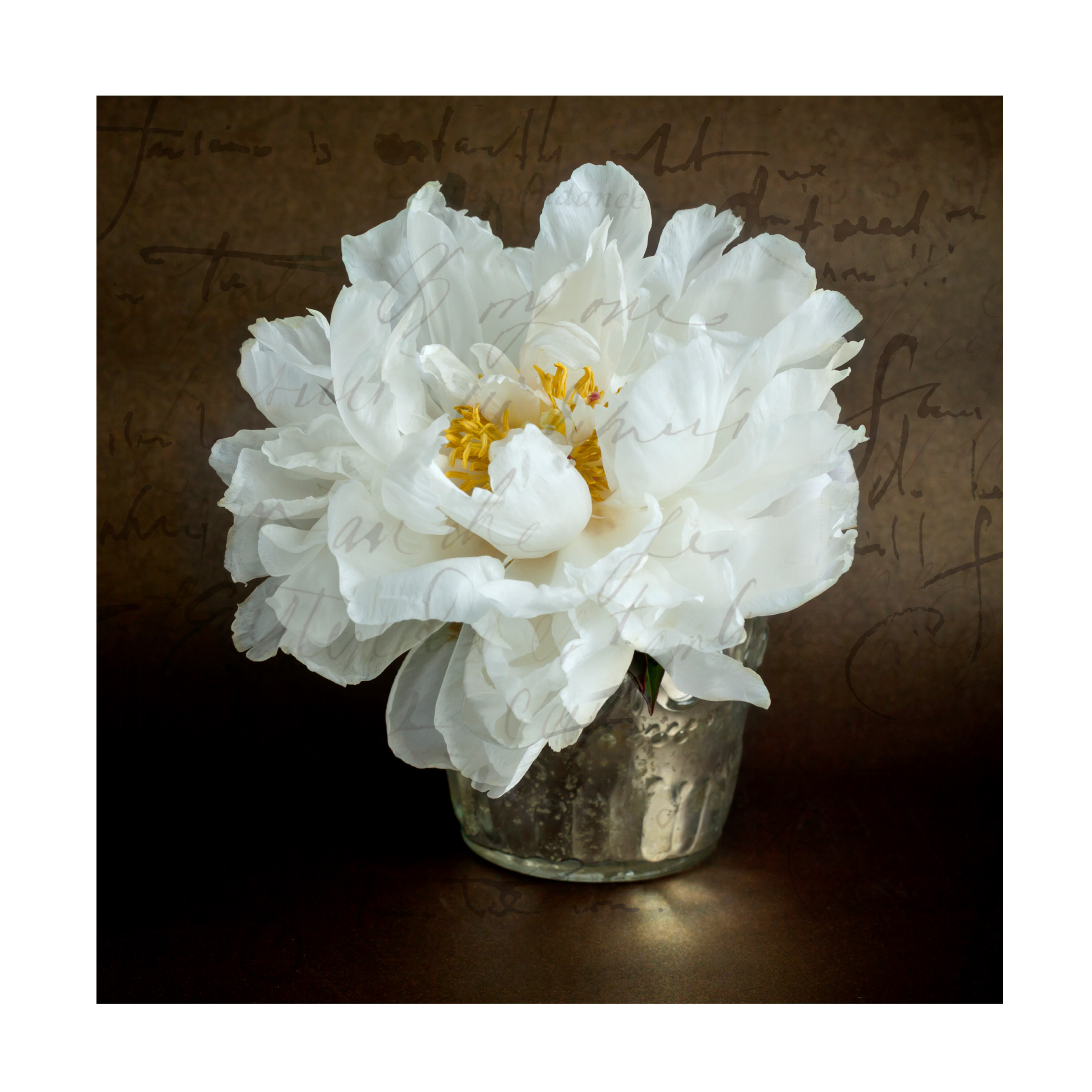 Symposium Design 'Calligraphic Peony II' Canvas Art - Walmart.com