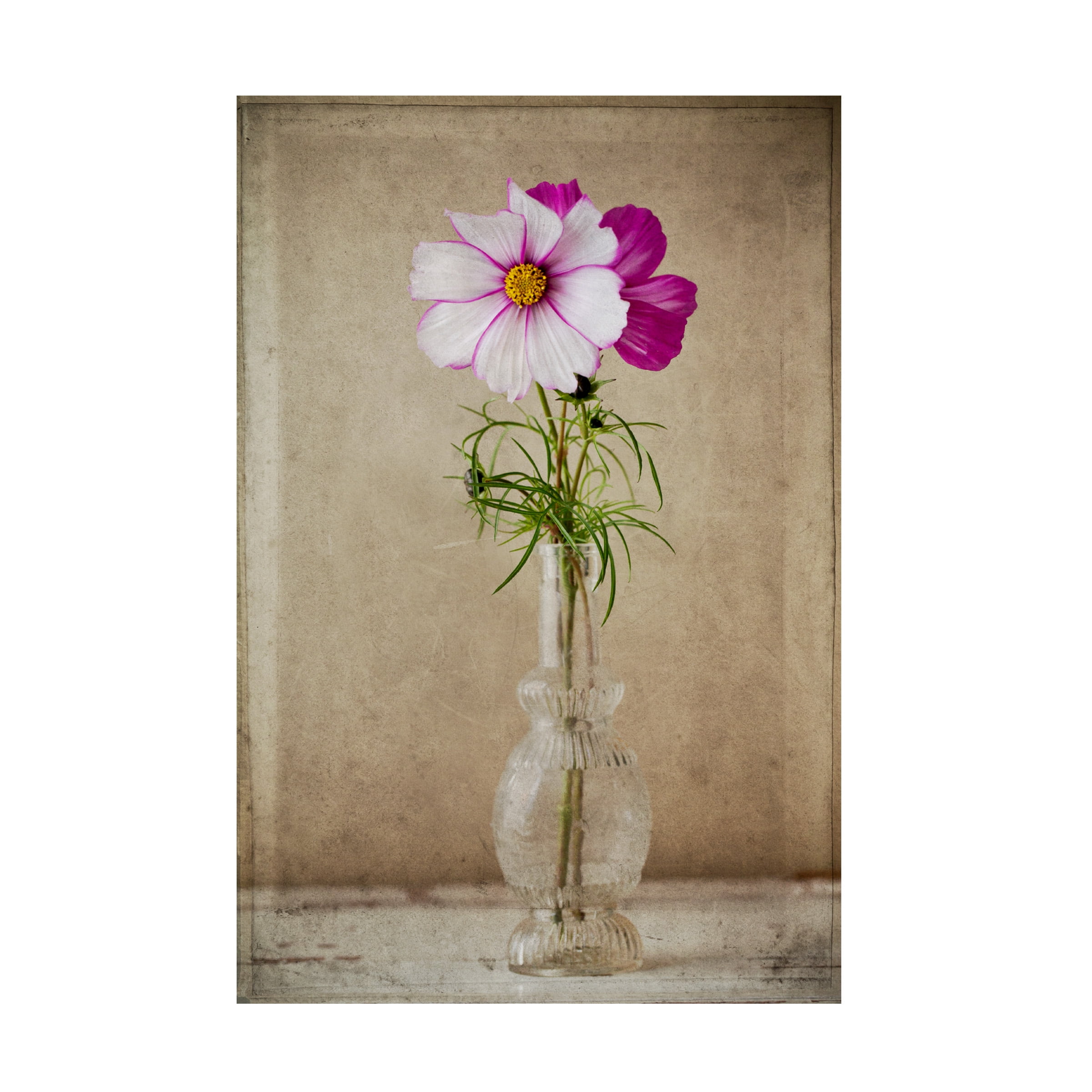 Symposium Design 'Cosmos 2' Canvas Art - Walmart.com