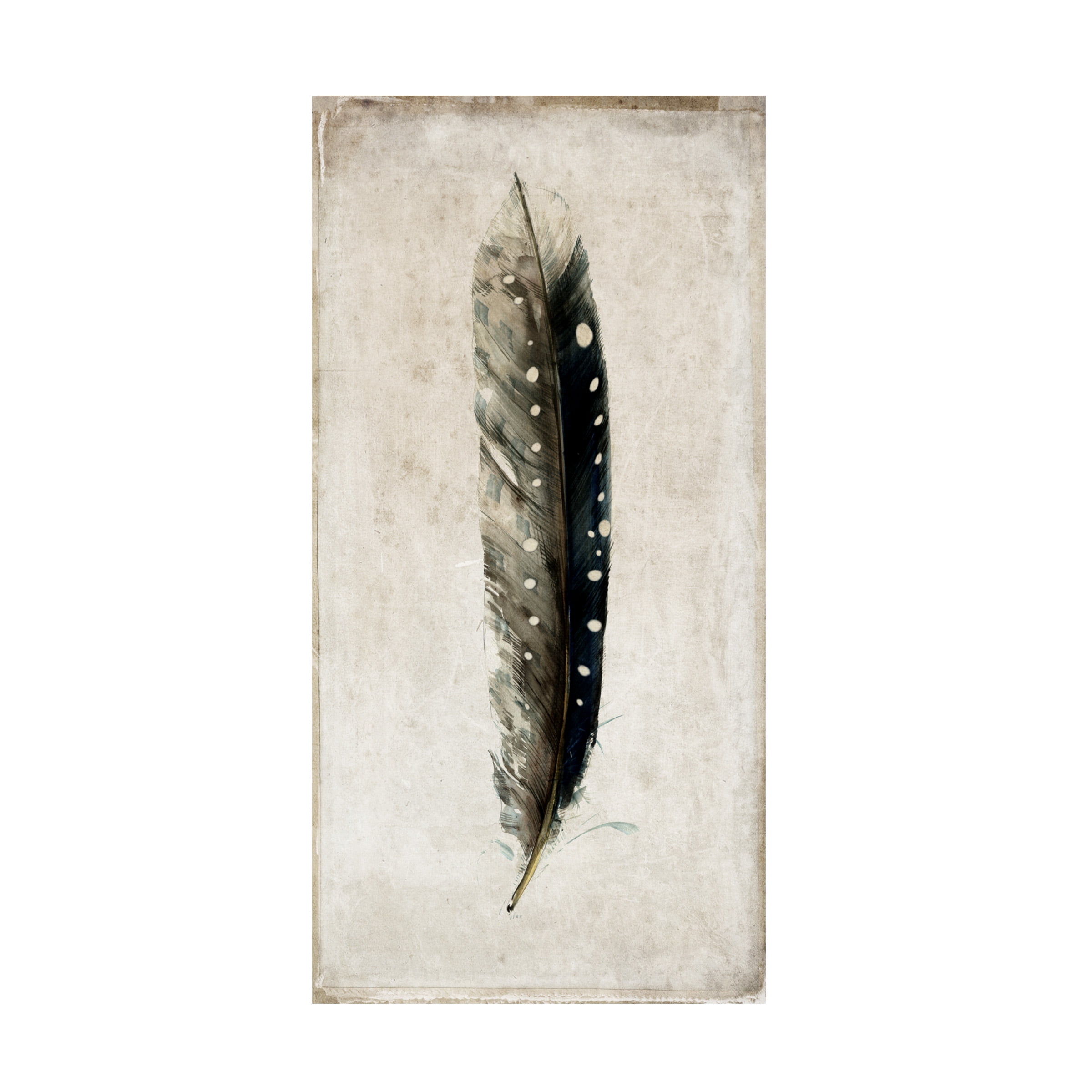 Symposium Design 'Feather 2' Canvas Art - Walmart.com