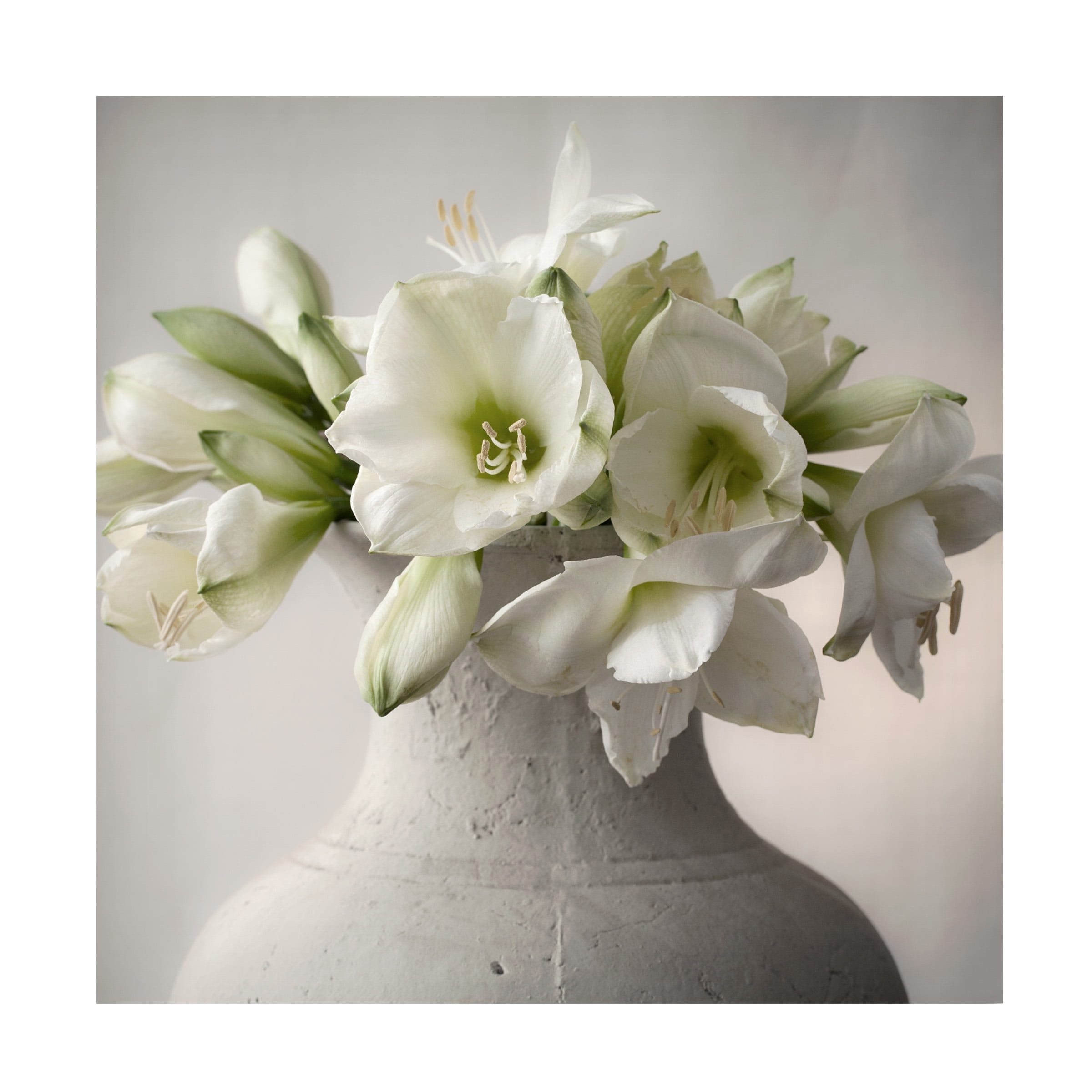 Symposium Design 'Stone Vase ' Canvas Art - Walmart.com
