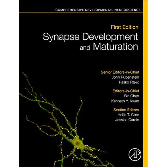 Pre-Owned Synapse Development and Maturation: Comprehensive Developmental Neuroscience ...