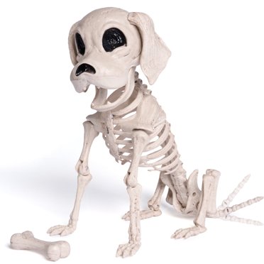 Travelwant Skeleton Cat Skeleton for Halloween Decorations, Skeleton ...