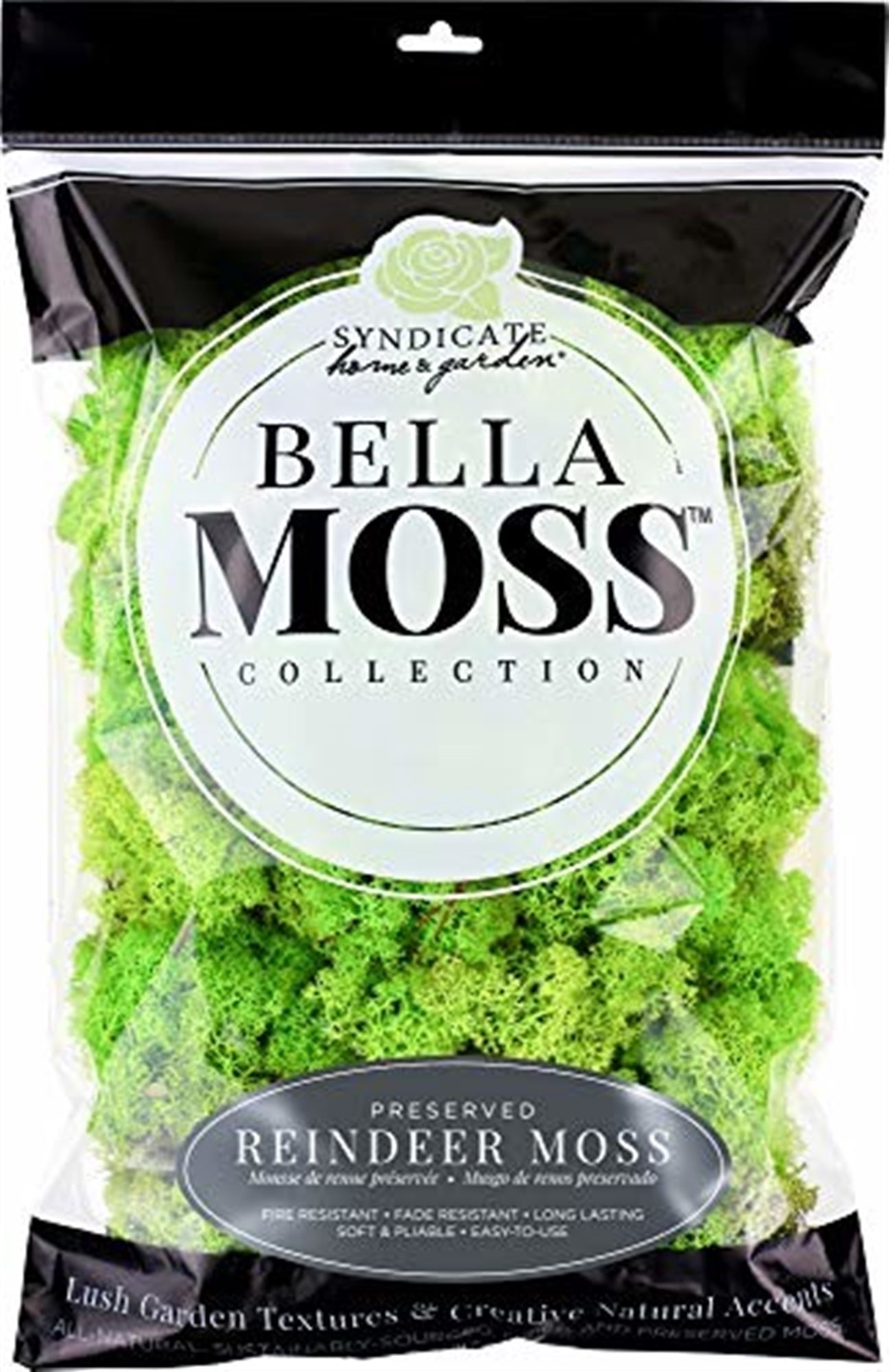Syndicate Home & Garden Bella Moss Preserved Reindeer Moss, Chartreus ...