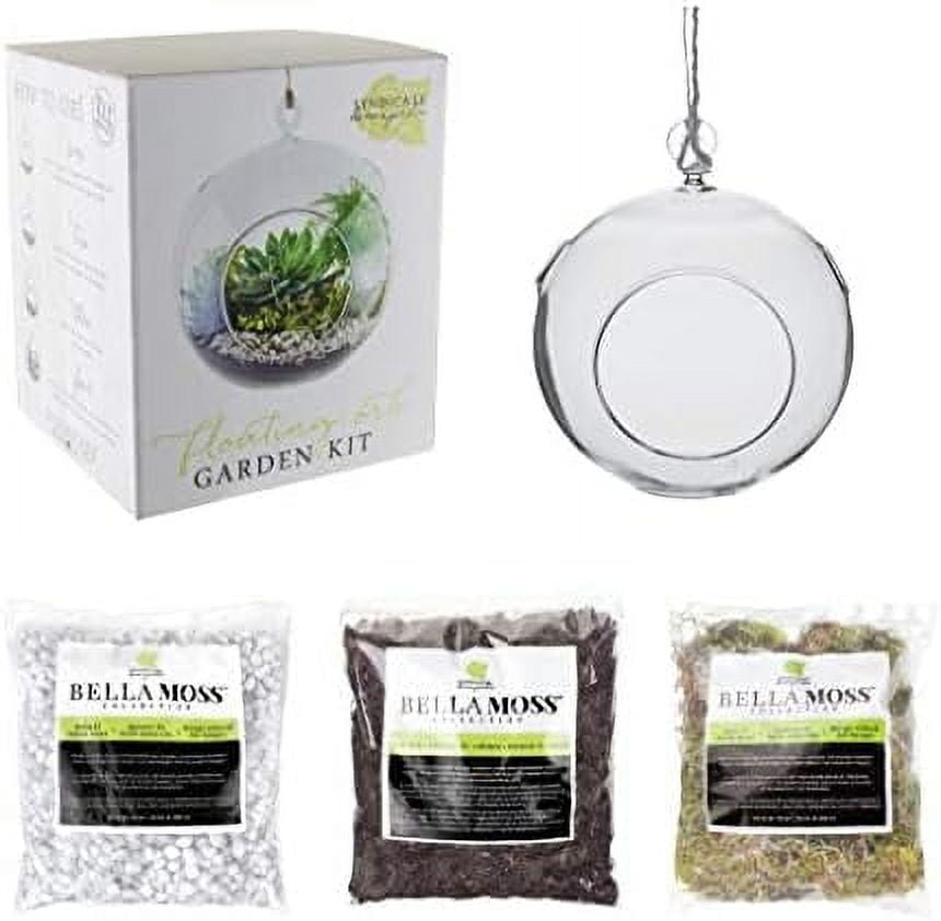 Syndicate Home & Garden Floating Orb Garden Kit, Includes Glass ...