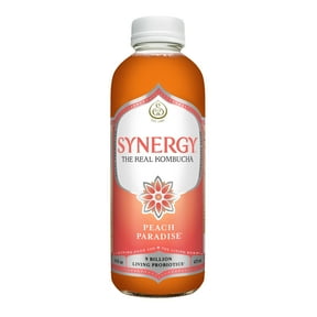 GT.S Synergy Real Kombucha Gingerade, 16 fl oz, Fermented Drink with ...