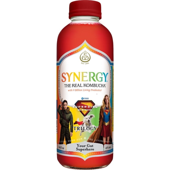 GT.S Synergy The Real Kombucha Trilogy 16 fl oz with Ginseng, Raspberry ...