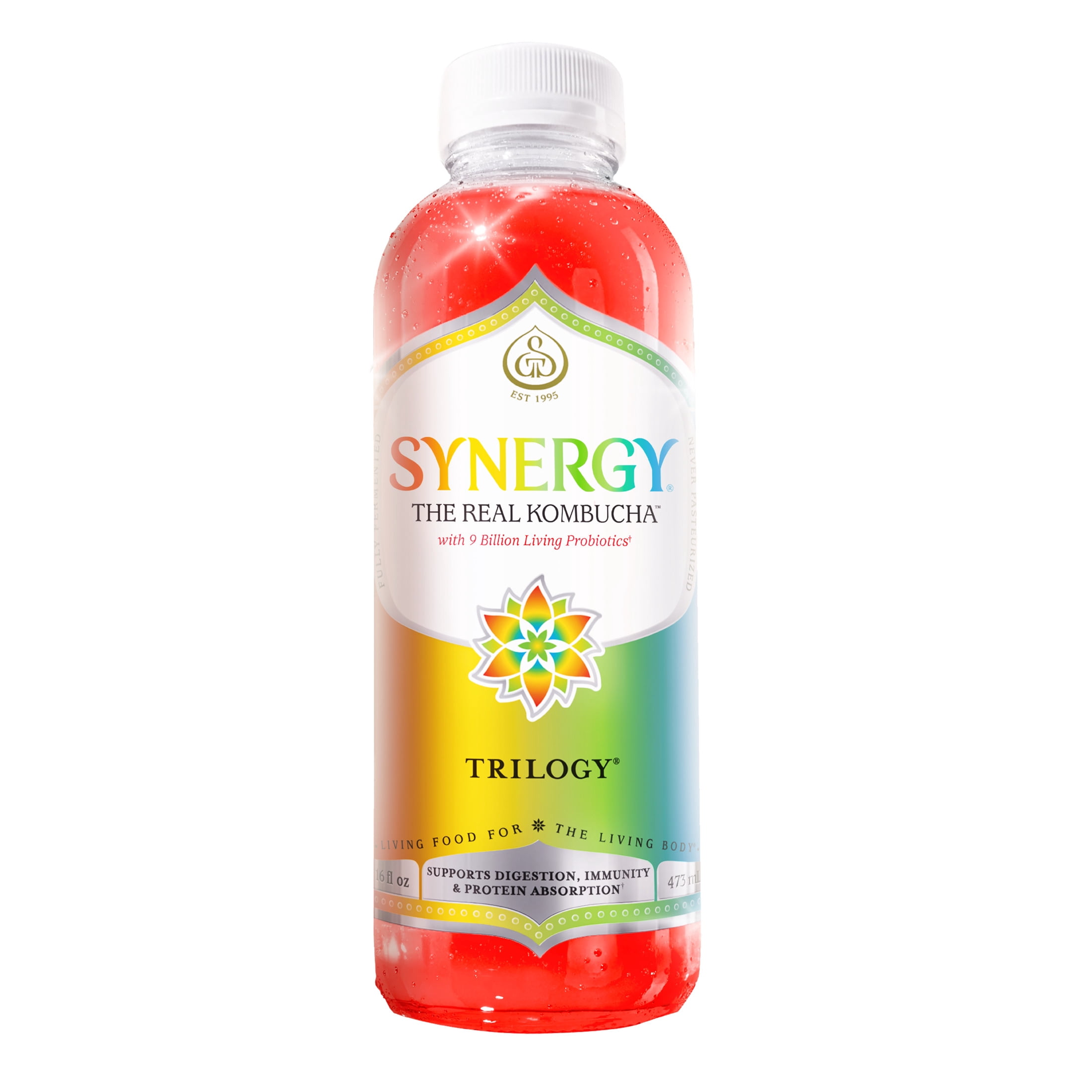 GT.S Synergy The Real Kombucha Trilogy 16 fl oz with Ginseng, Raspberry ...