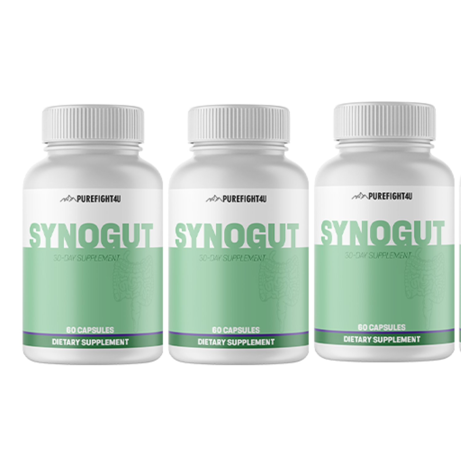 Synogut 12 Bottles 720 Capsules - Walmart.com