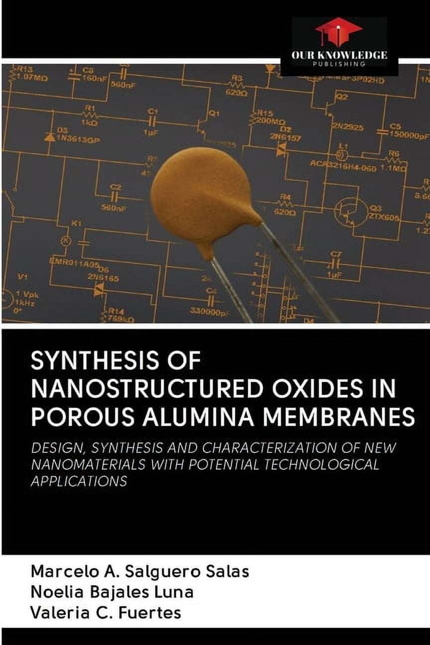 Synthesis of Nanostructured Oxides in Porous Alumina Membranes (Paperback) - Walmart.com
