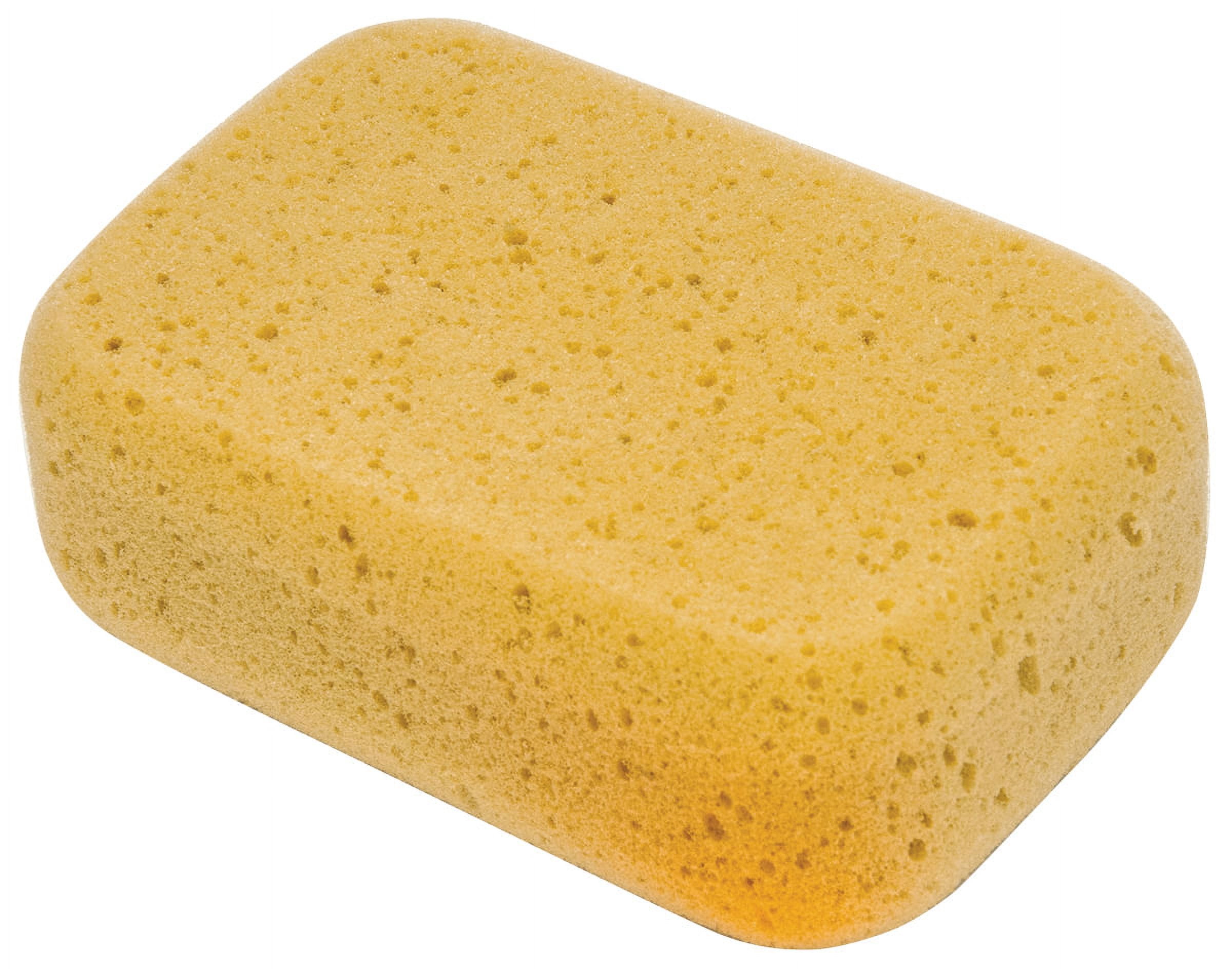 Synthetic Body Sponge - Walmart.com