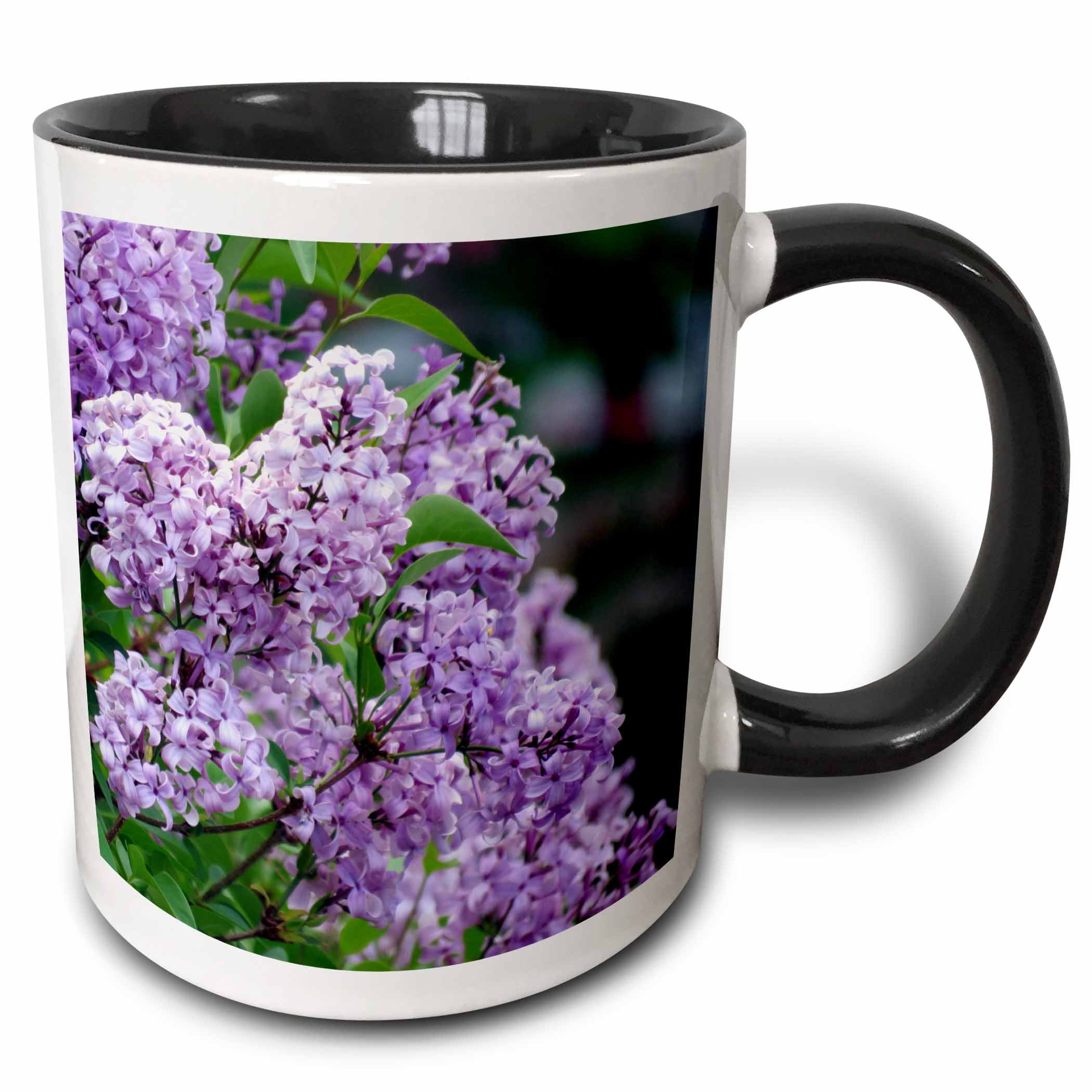 3drose, Syringa or Lilac Bush with Purple Flowers Up Close, 15oz Two ...