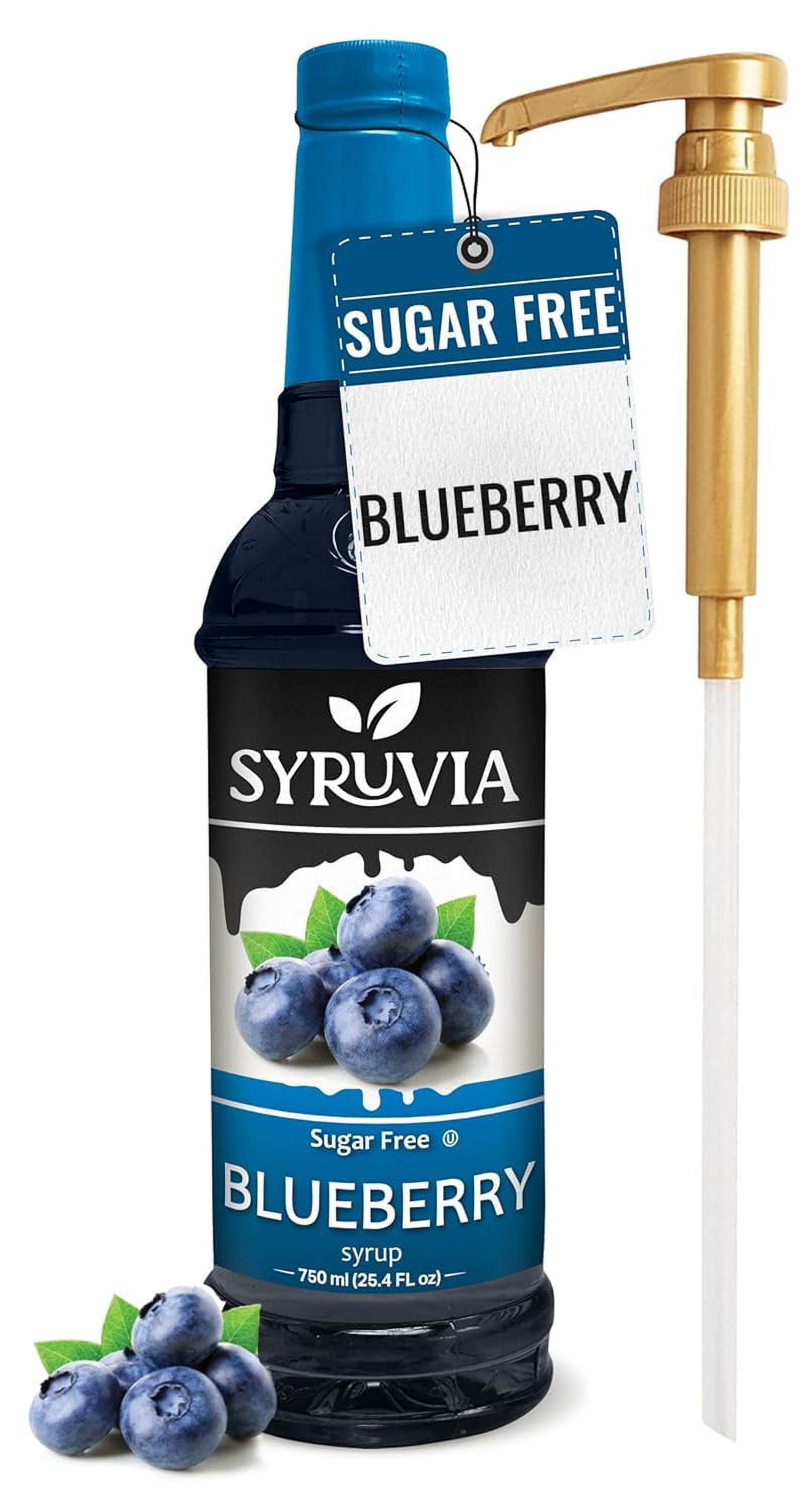 Syruvia Blueberry Sugar Free Cocktails Syrup 25.4 Fl. Oz With Pump ...