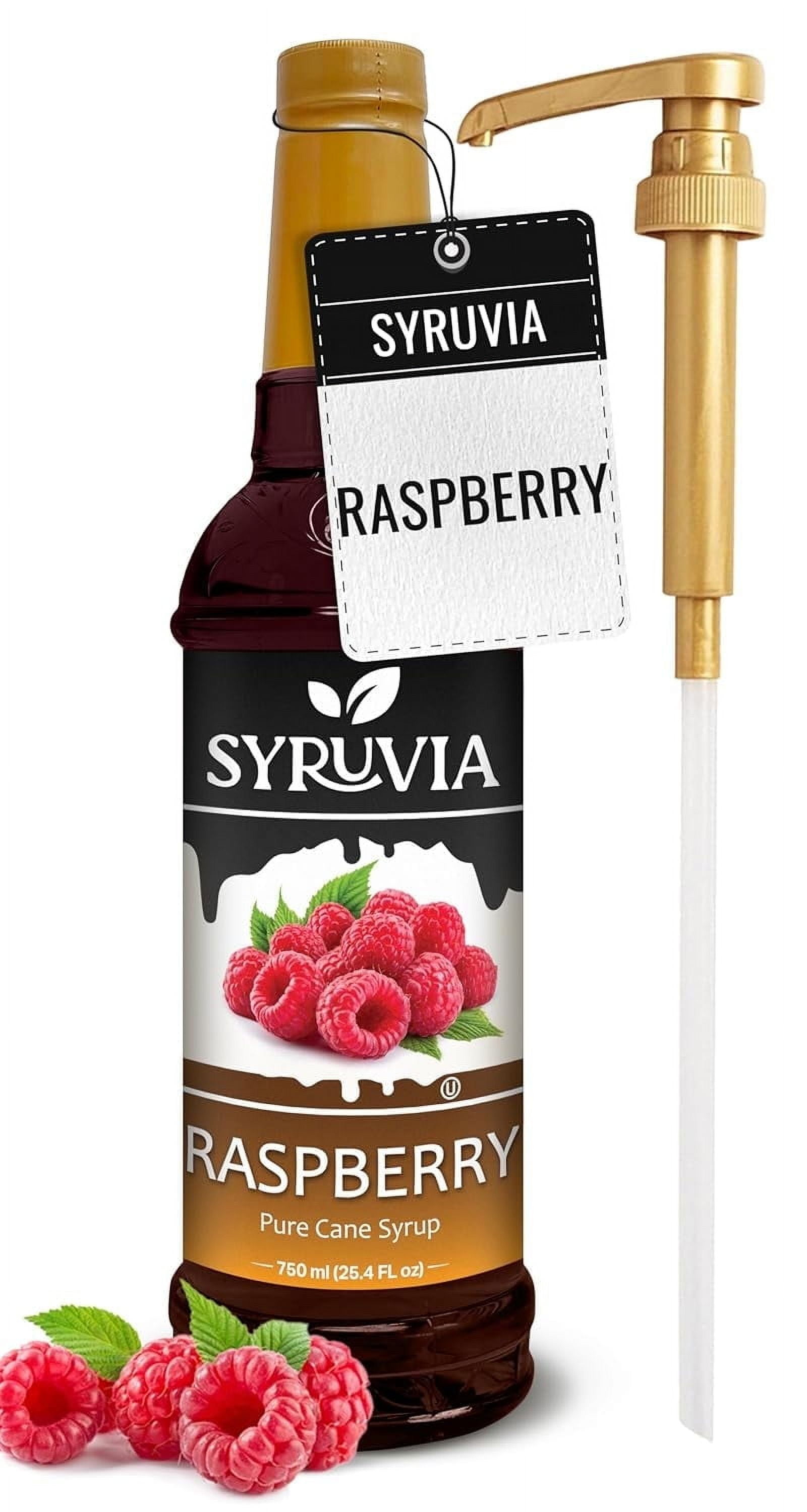 Syruvia Raspberry Pure Cane Syrup, 25.4 fl Oz With Pump - Walmart.com