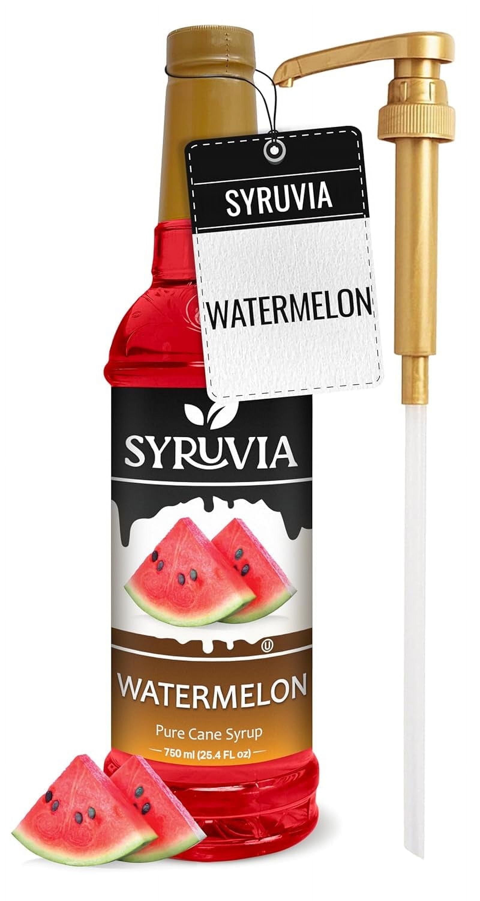 Syruvia Watermelon Pure Cane Syrup, 25.4 fl Oz With Pump - Walmart.com