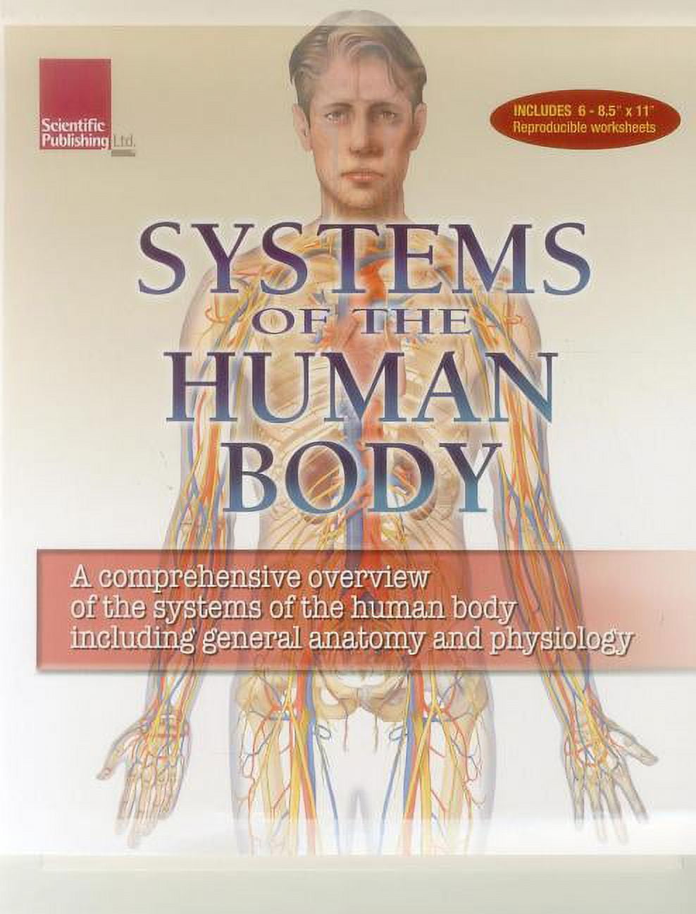 Systems of the Human Body (Wallchart) - Walmart.com