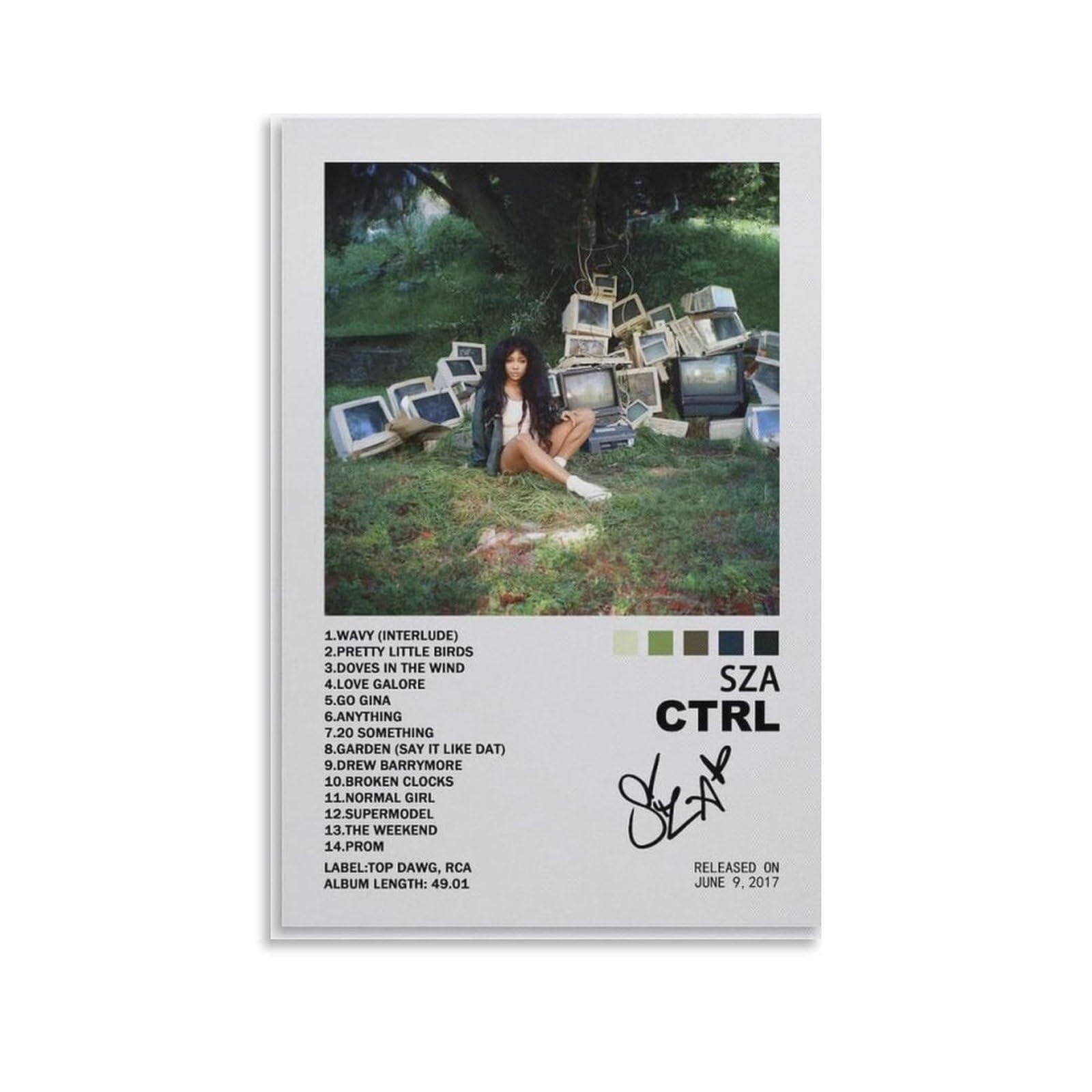 Sza Poster Ctrl Album Cover Music Poster Poster Cool Artworks Painting ...