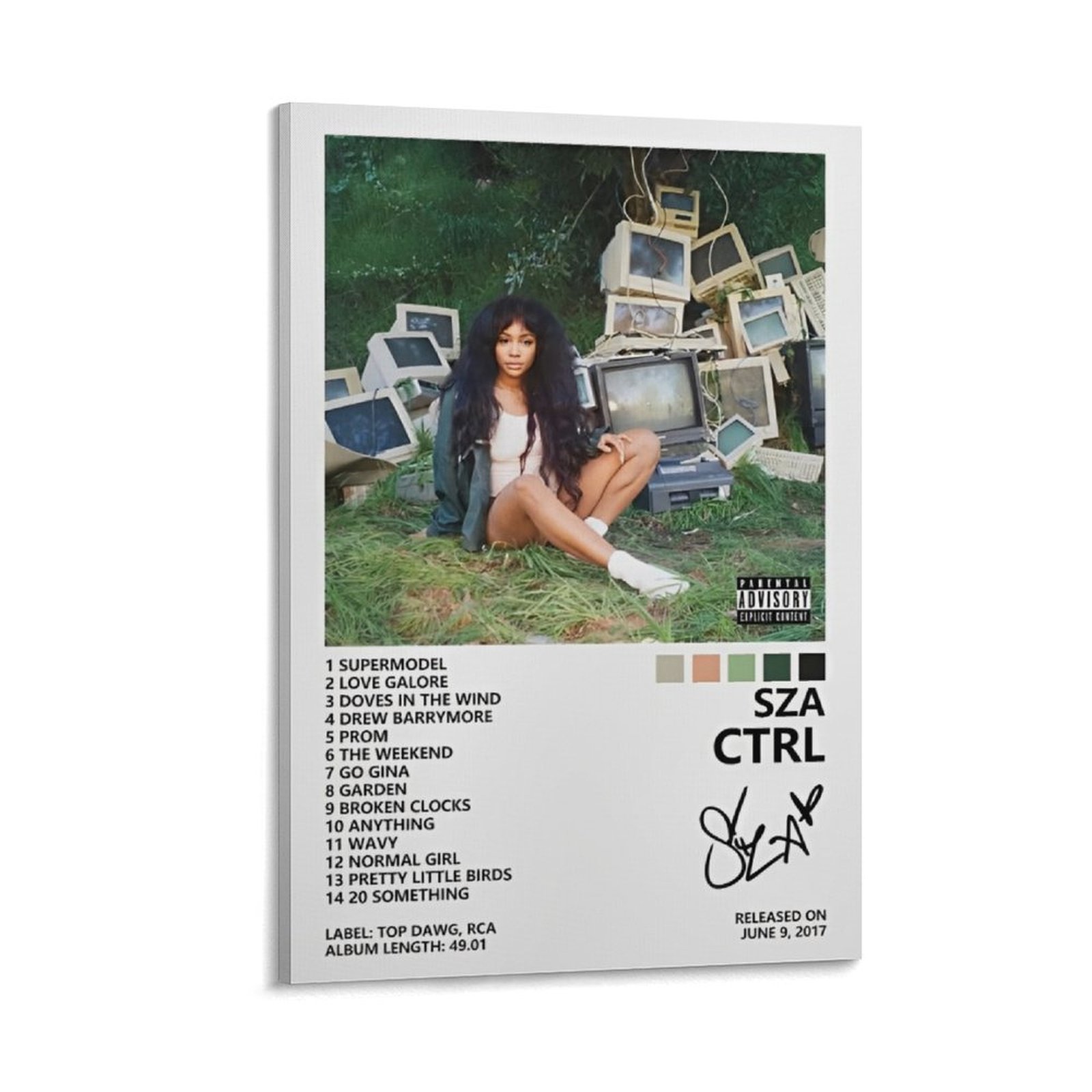 Sza Poster Ctrl Frame-style16x24inch(40x60cm) - Walmart.com