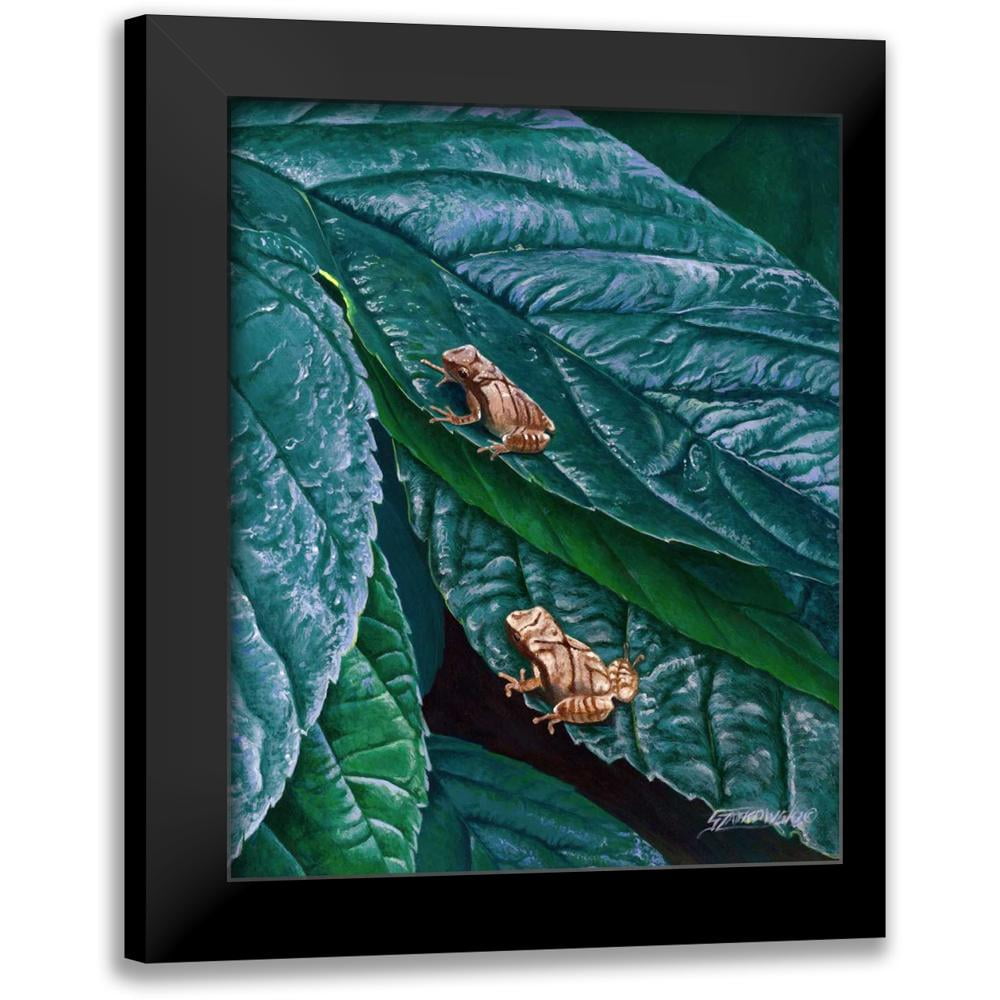 Szatkowski, Fred 12x14 Black Modern Framed Museum Art Print Titled ...