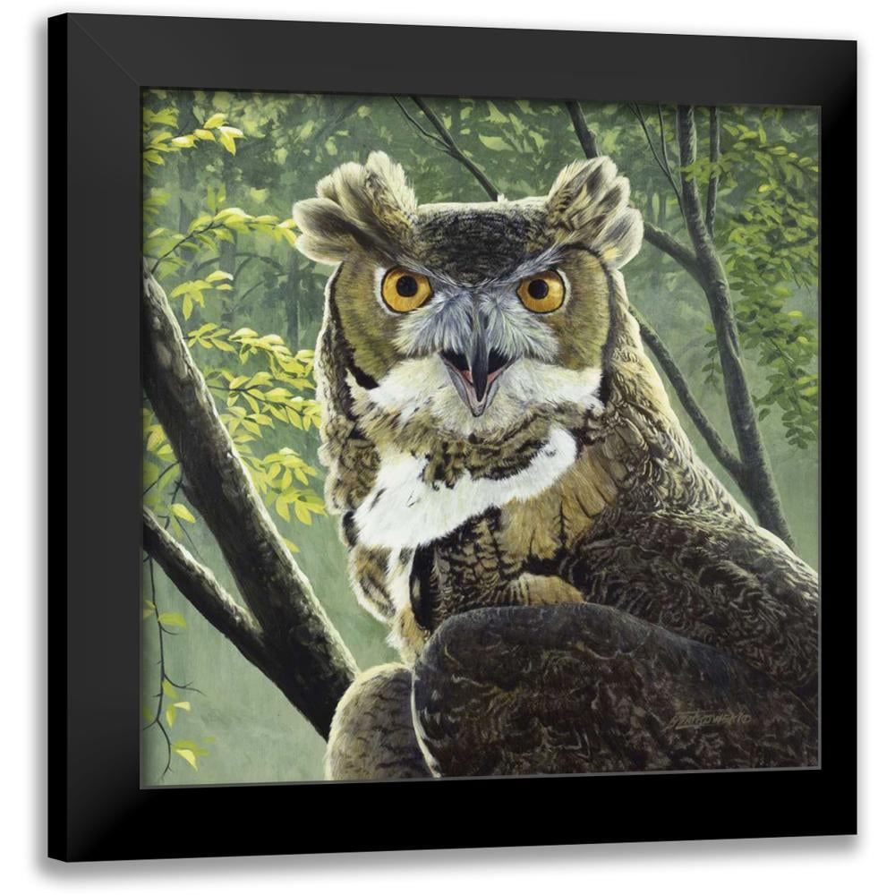 Szatkowski, Fred 20x20 Black Modern Framed Museum Art Print Titled ...