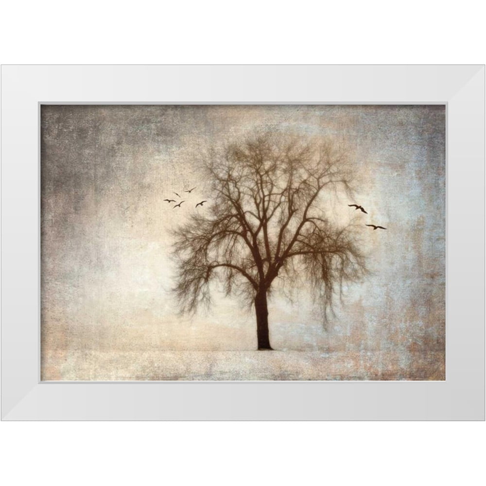 Szilagyi, Ily 18x14 White Modern Wood Framed Museum Art Print Titled ...