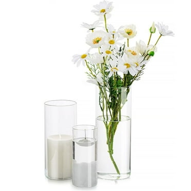 "Glasseam Clear Glass Cylinder Vase Set of 6, 2.4"" Dia x(4""+6""+8 ...