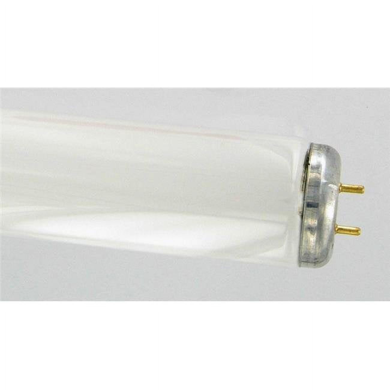 T 12 Cool White Rapid Start Fluorescent Lamp Bulb - Pack of 6 - Walmart.com