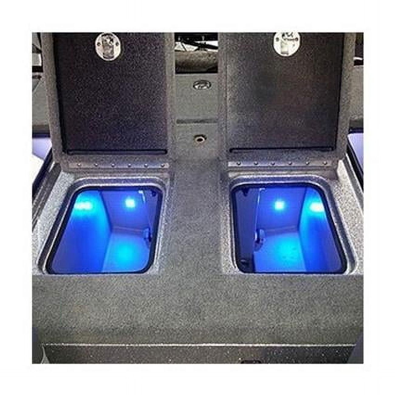 T-H Marine LEDBW-402-B-DP Quad Beam Livewell LED Light, Blue - Walmart.com