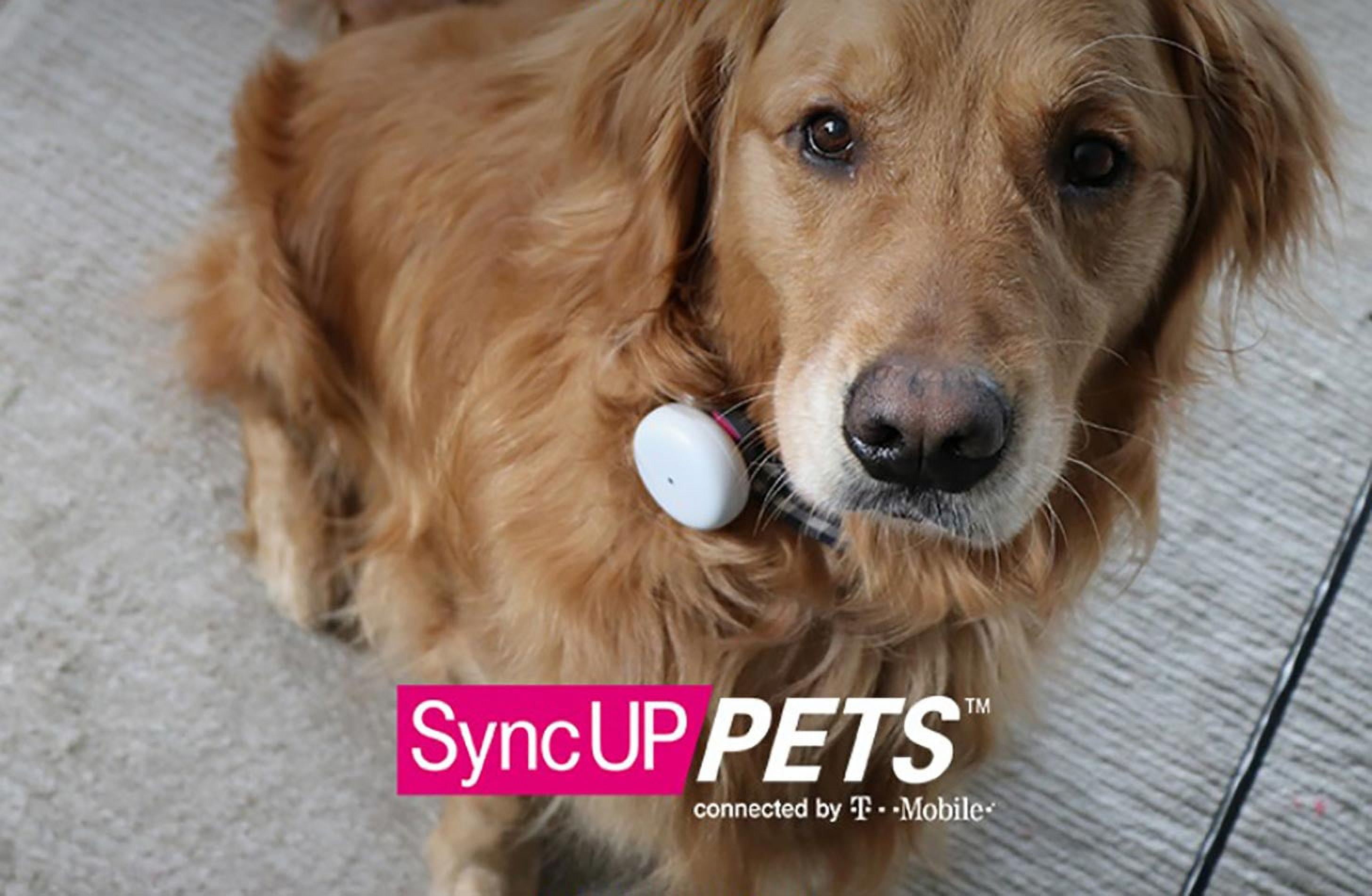 T-Mobile SyncUP PETS IoT GPS Tracker Device, Monitor Activity, Location and Health on App ...