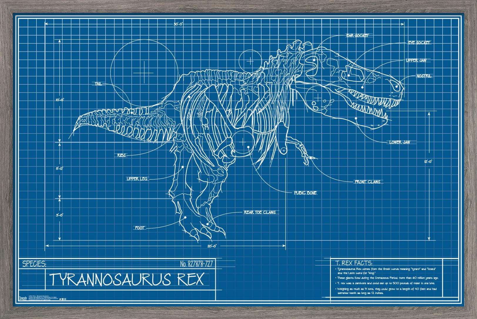 T-Rex - Blueprint Illustration Wall Poster, 14.725" x 22.375", Framed ...