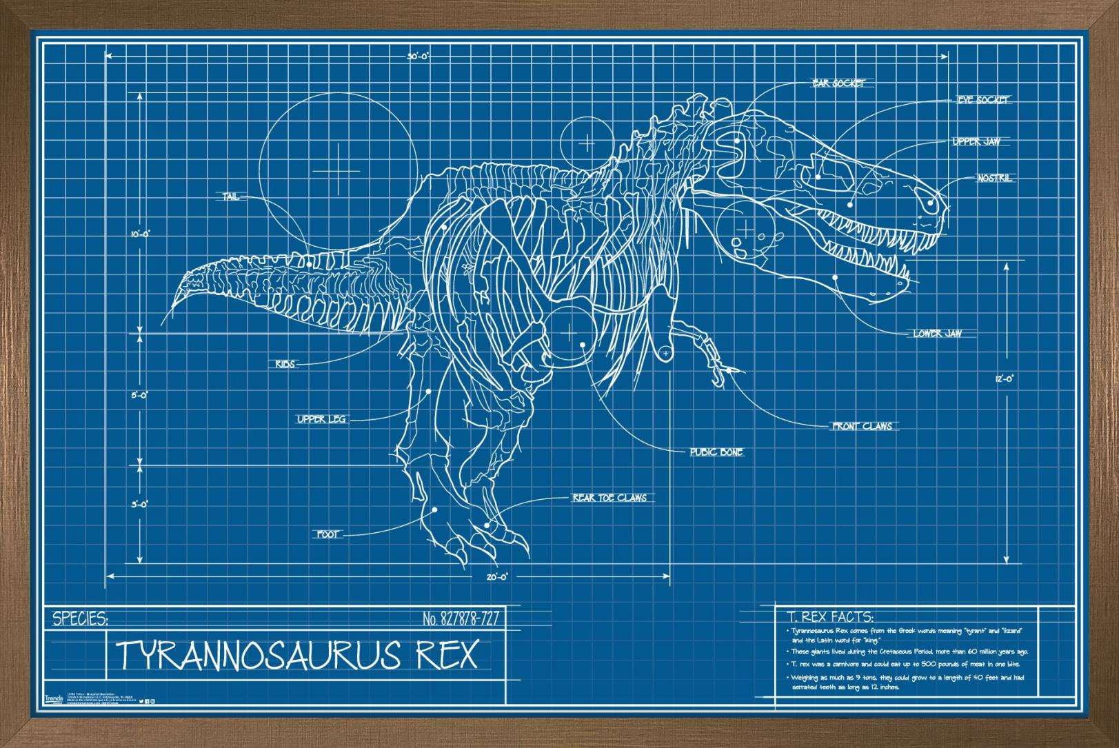 T-Rex - Blueprint Illustration Wall Poster, 14.725" x 22.375", Framed ...