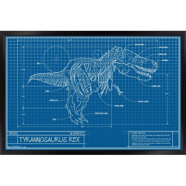 T-Rex - Blueprint Illustration Wall Poster, 14.725" x 22.375", Framed ...