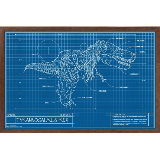 T-Rex - Blueprint Illustration Wall Poster, 14.725" x 22.375", Framed ...
