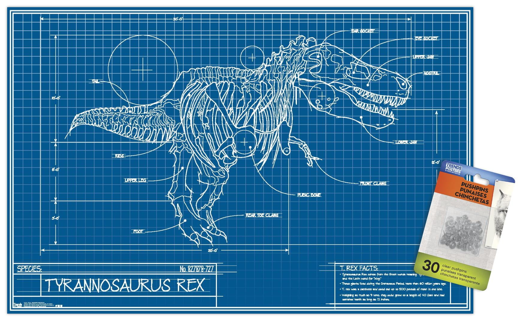 T-Rex - Blueprint Illustration Wall Poster with Push Pins, 14.725" x 22 ...