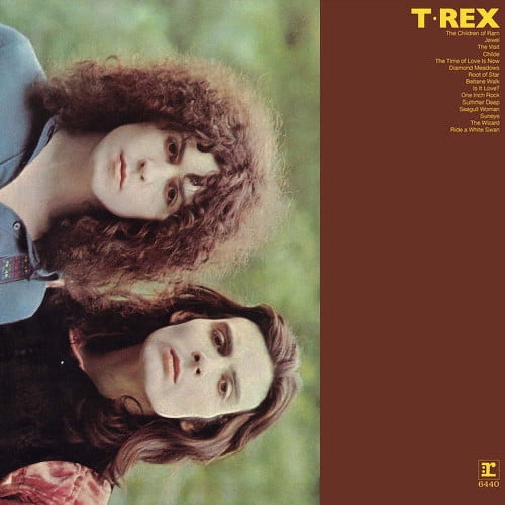 T-Rex - T. Rex - Music & Performance - Vinyl - Walmart.com