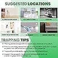 T3-R Sticky Traps for Bugs Extra Large (12 Pack) - Mouse and Insect ...