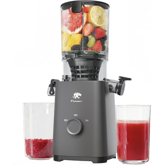 T33 Cold Press Juicer Machines, 5.3" Large Feed Chute Slow Masticating ...