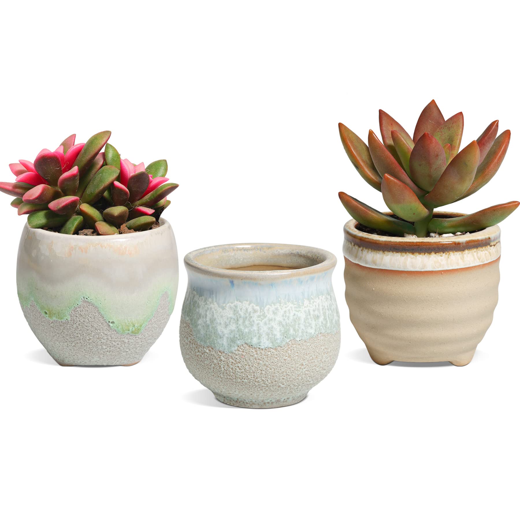 T4U Small Ceramic Succulent Pots with Drainage Set of 3, Mini Pots for ...