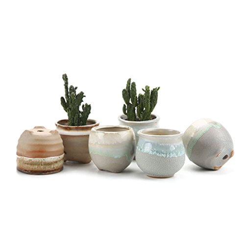 T4U Small Ceramic Succulent Pots with Drainage Set of 6, Mini Pots for ...