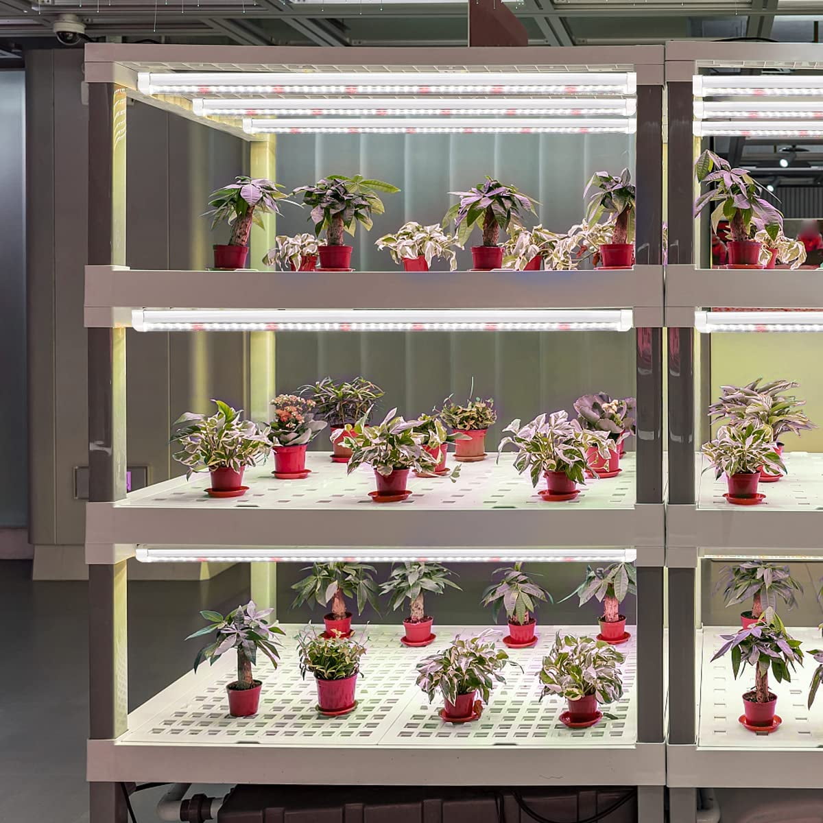 T5 Grow Lights, 408 LED-Bulb White Full High PPFD Plant Light Strips ...