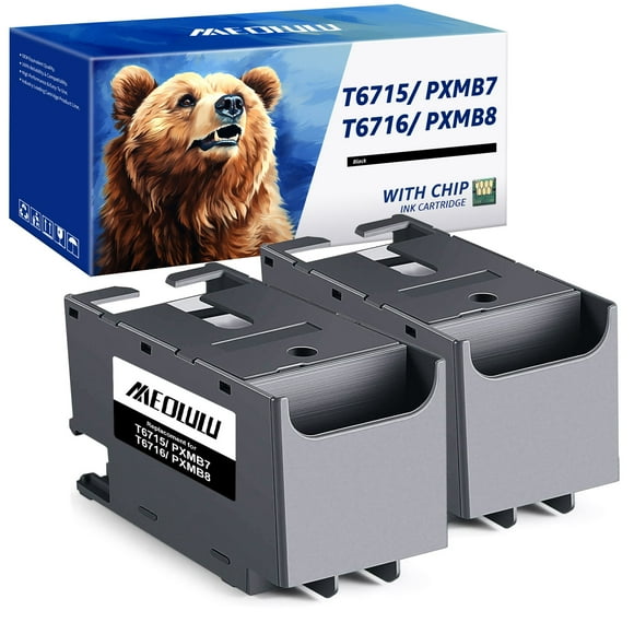 Epson T6711 Maintenance Box
