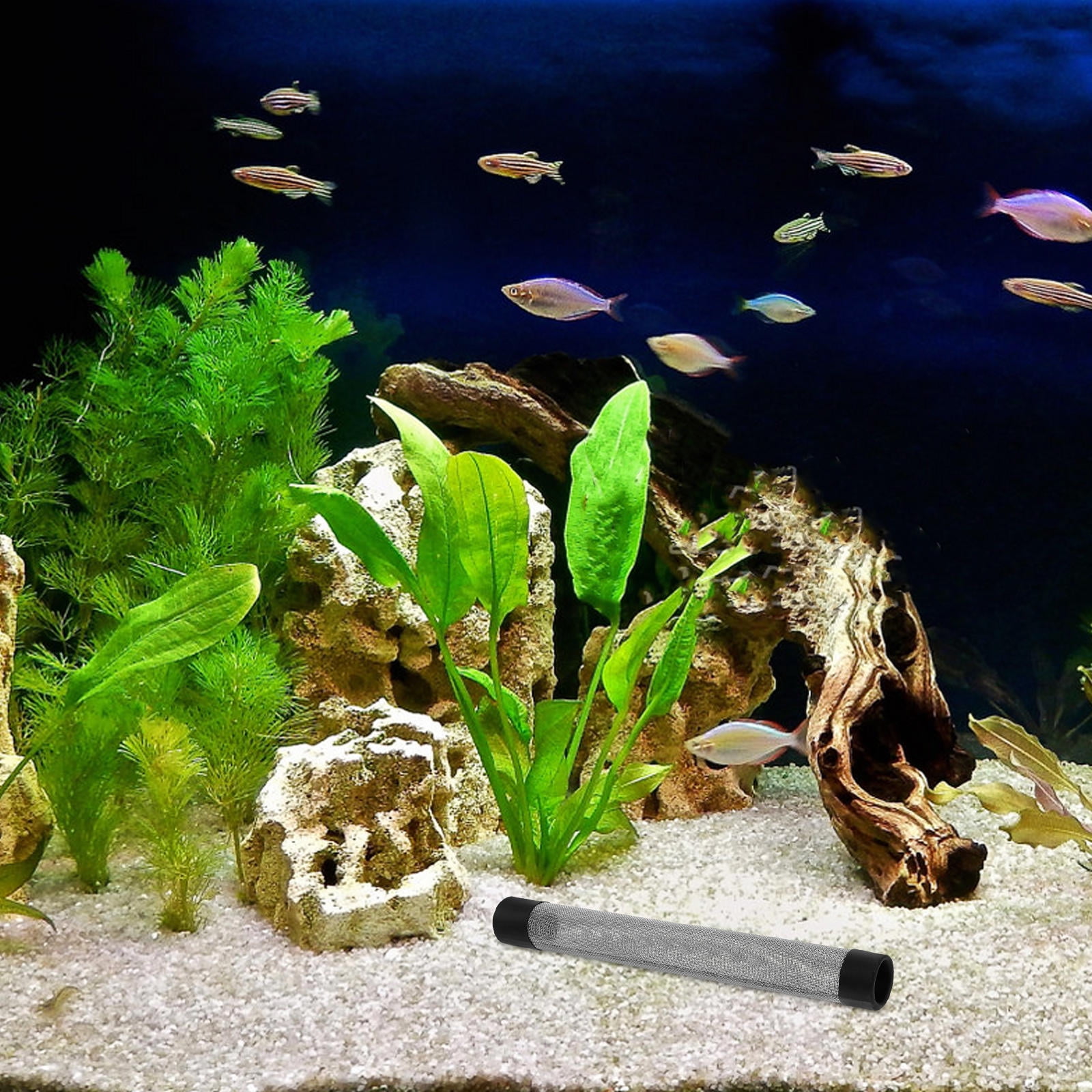 TABLETREANDS 1Pack Canister Fish Tank with Detachable Design Strainer ...