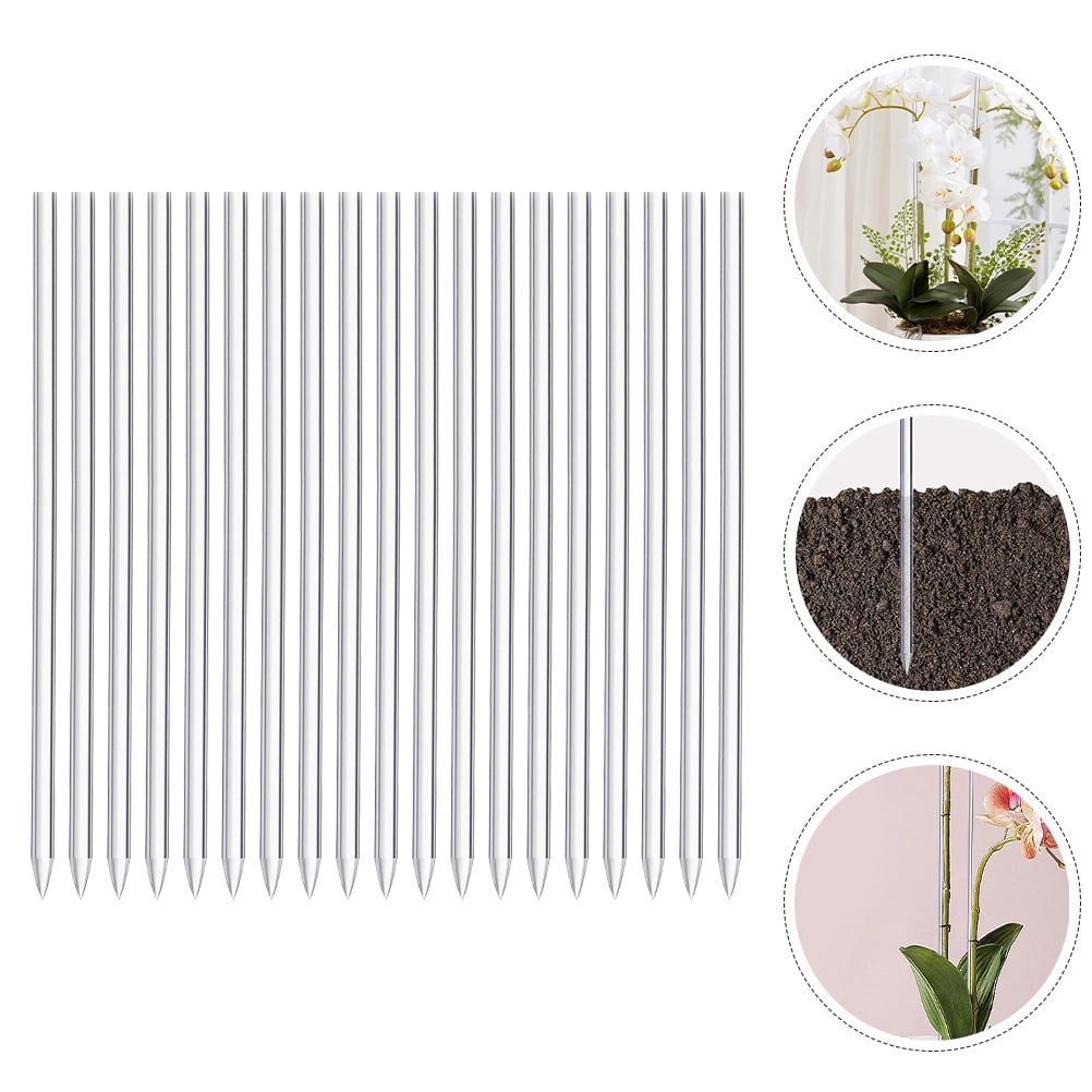 TABLETREANDS 30Pcs Acrylic Flower Stem Stakes for Supporting Seedling ...