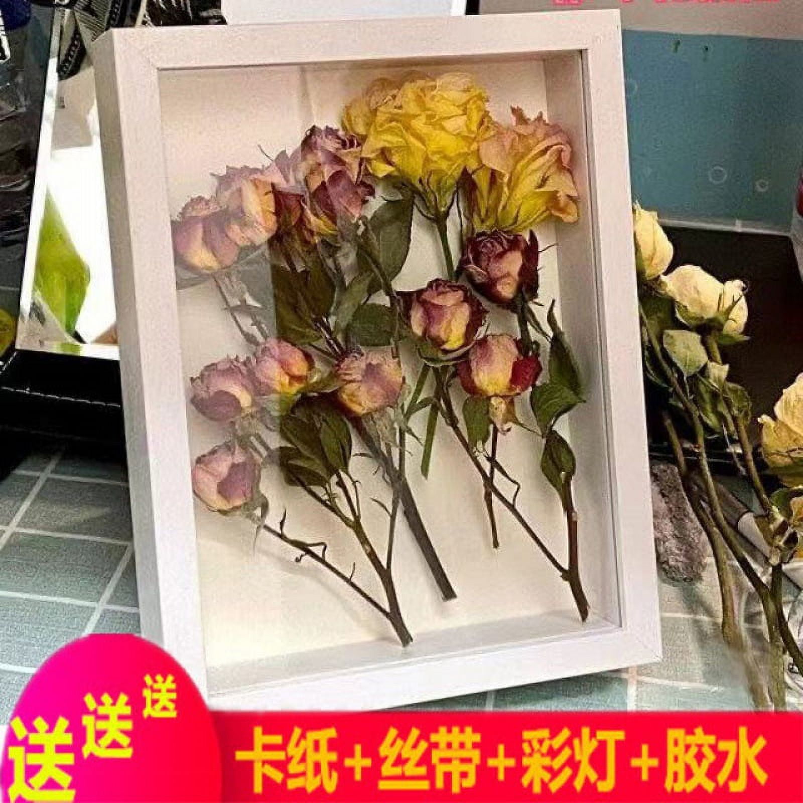 TABLETREANDS Dried Flower Storage Case White Modern 1Pcs 6.68X4.72X1 ...