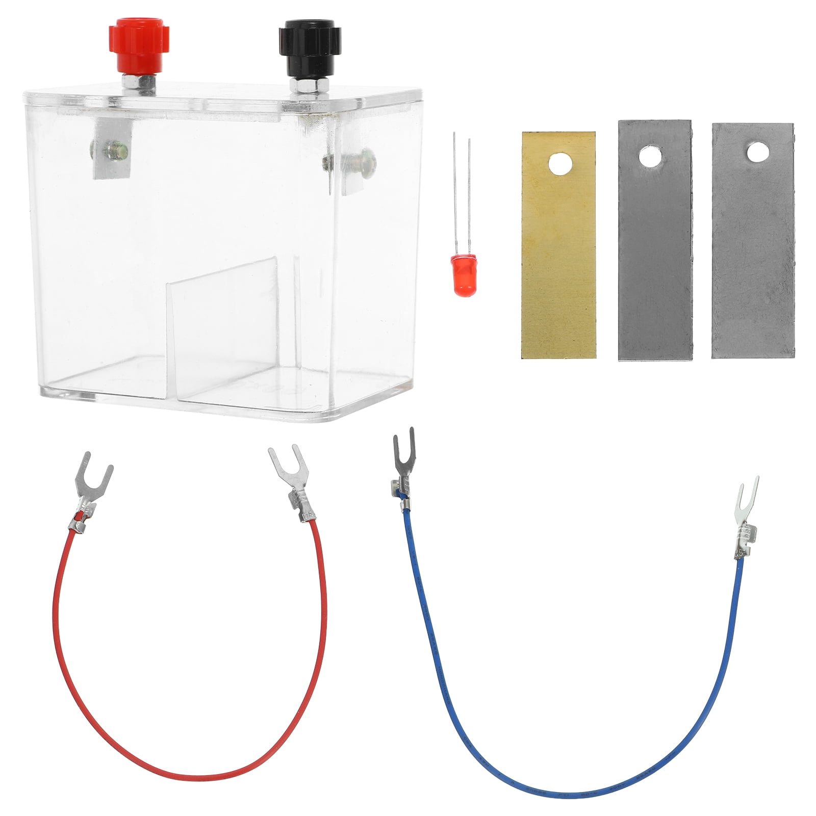 TABLZONE 1Set DIY Fruit Battery Science Kit with Durable Plates for ...