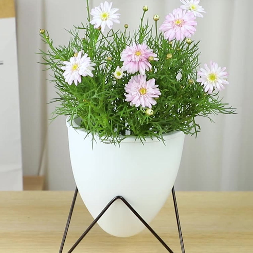 TABLZONE 3 Sets Flower Container Automatic Watering Pot Self Absorbent ...
